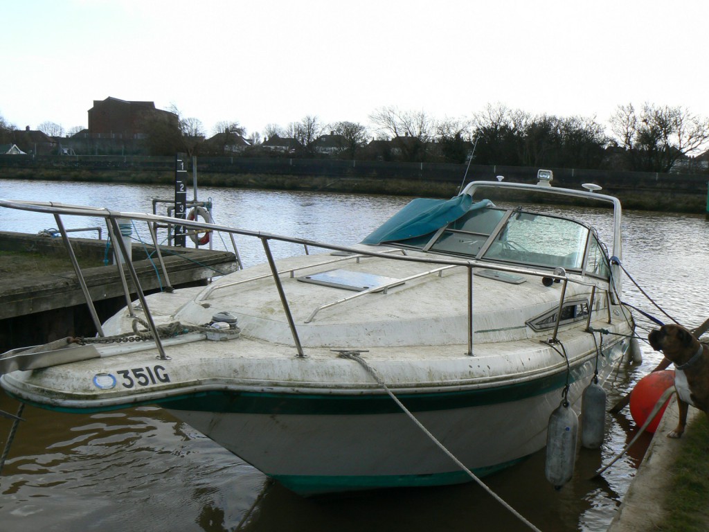 Sea Ray 290|Sinking Galvanic Action|Expert Witness | European Marine ...